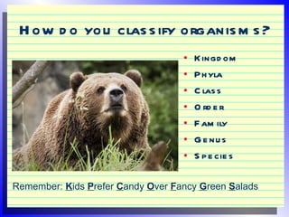 Classification Of Plants And Animals For Kids