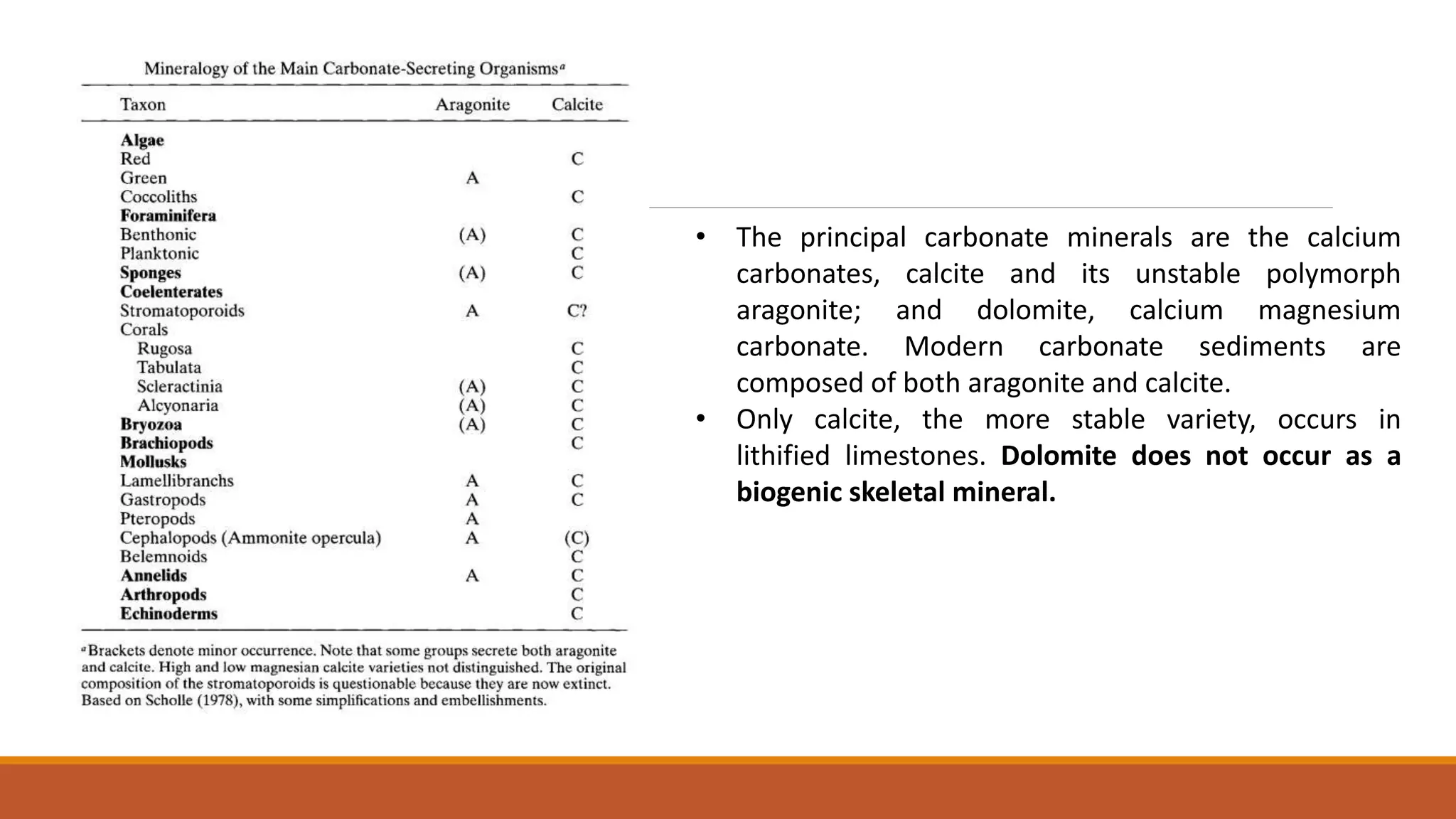 Classification-of-sedimentary-rocks-Autochthonous-sediments.pptx ...
