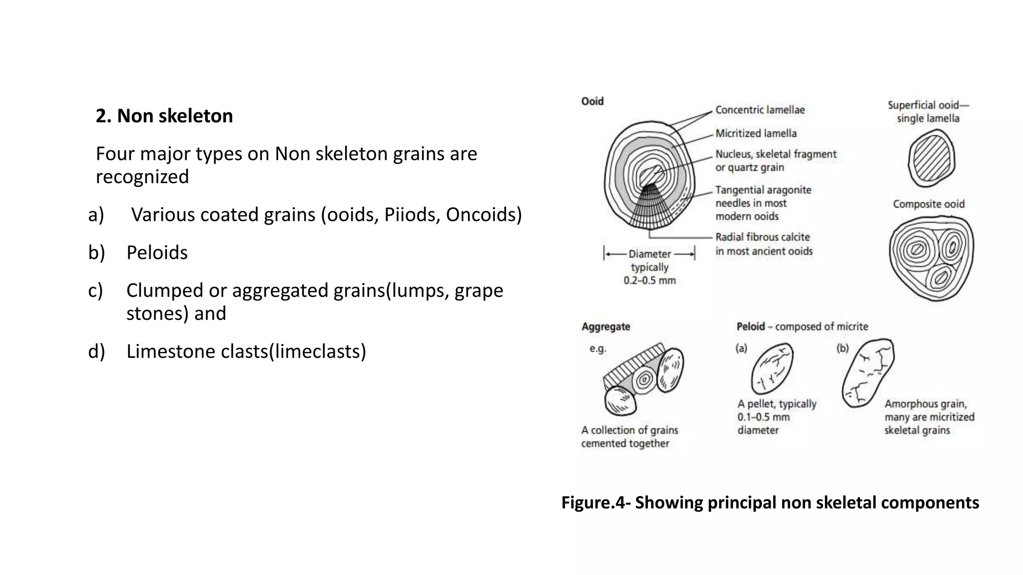Classification-of-sedimentary-rocks-Autochthonous-sediments.pptx