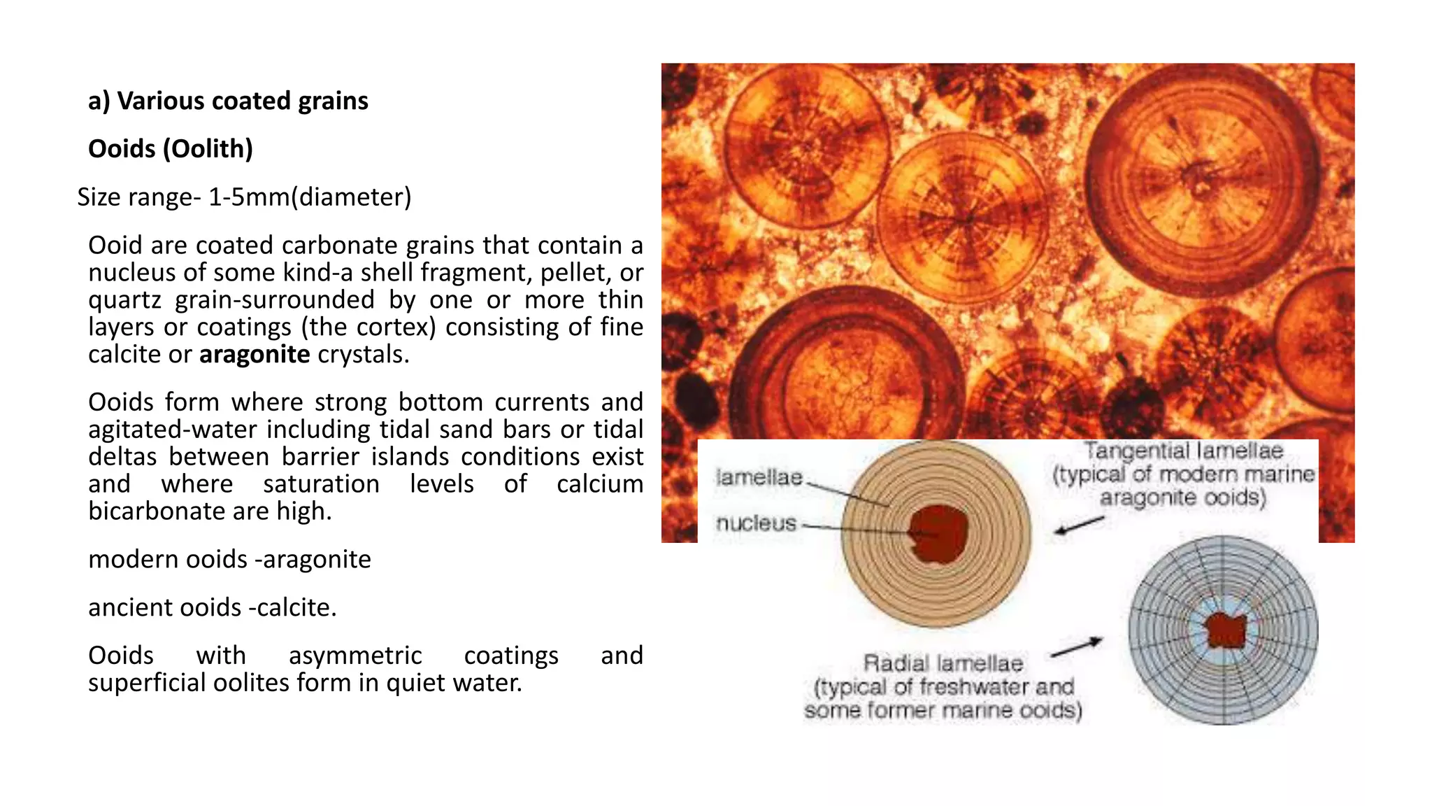 Classification-of-sedimentary-rocks-Autochthonous-sediments.pptx