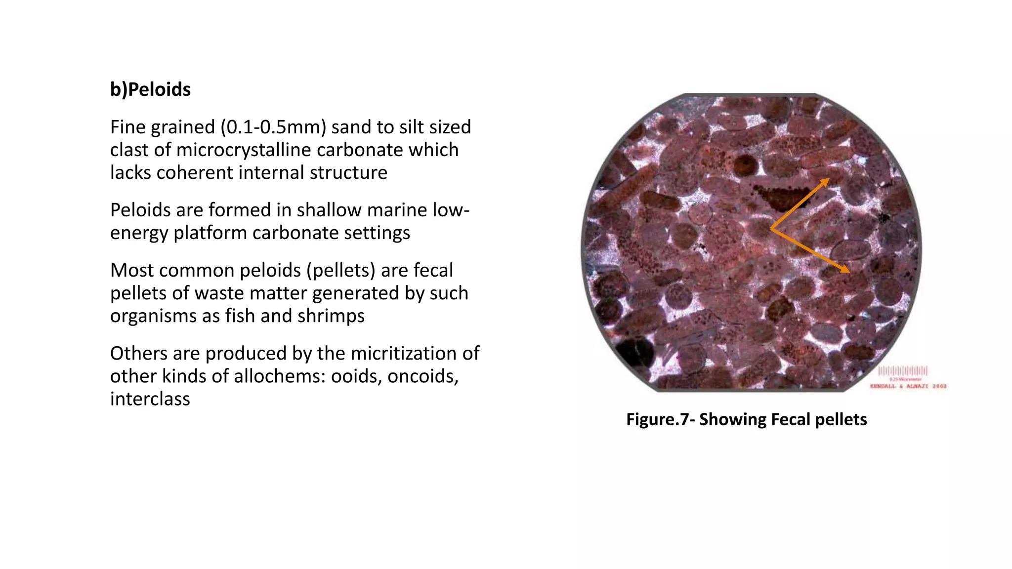 Classification-of-sedimentary-rocks-Autochthonous-sediments.pptx