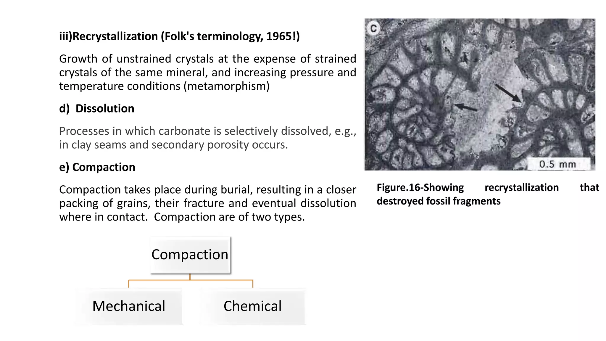 Classification-of-sedimentary-rocks-Autochthonous-sediments.pptx