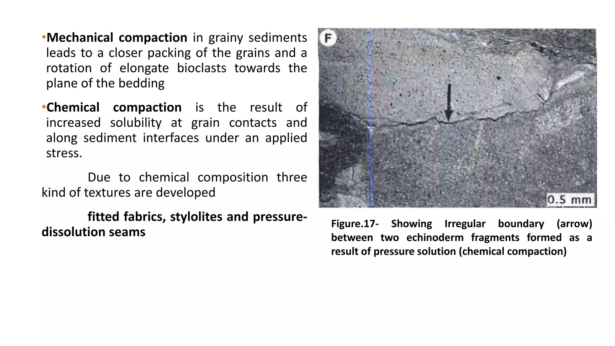 Classification-of-sedimentary-rocks-Autochthonous-sediments.pptx
