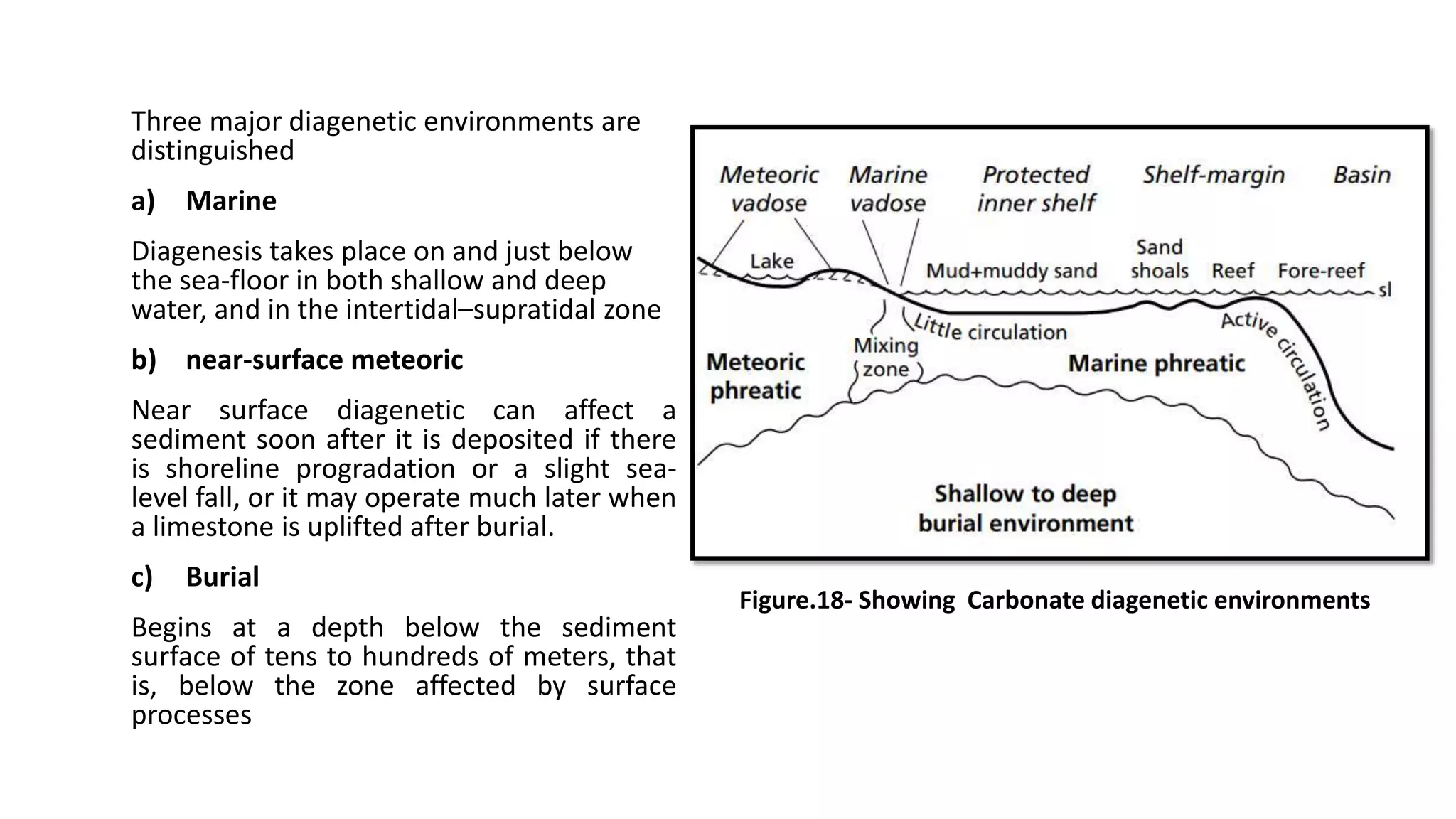 Classification-of-sedimentary-rocks-Autochthonous-sediments.pptx