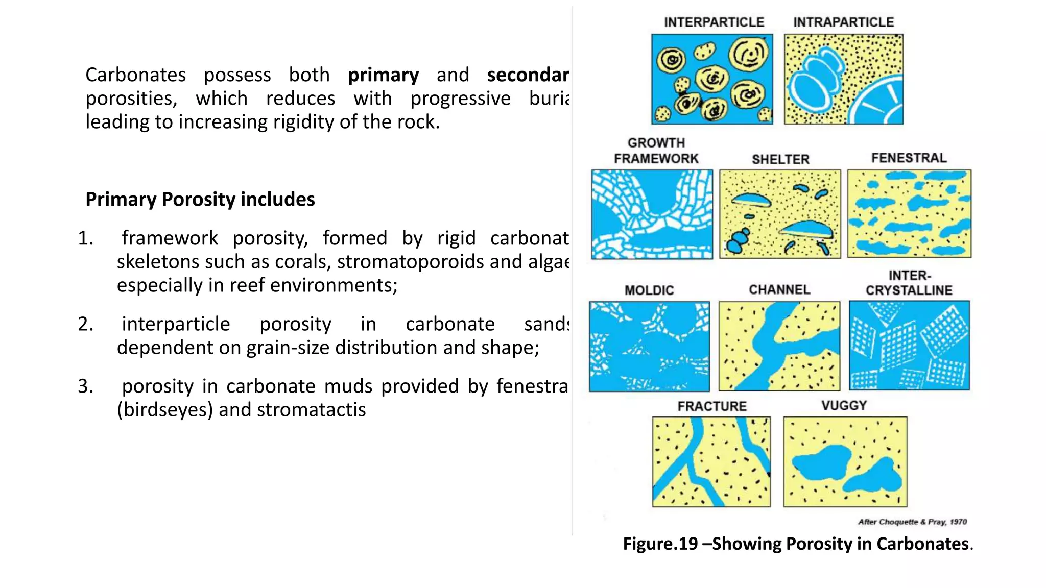 Classification-of-sedimentary-rocks-Autochthonous-sediments.pptx ...