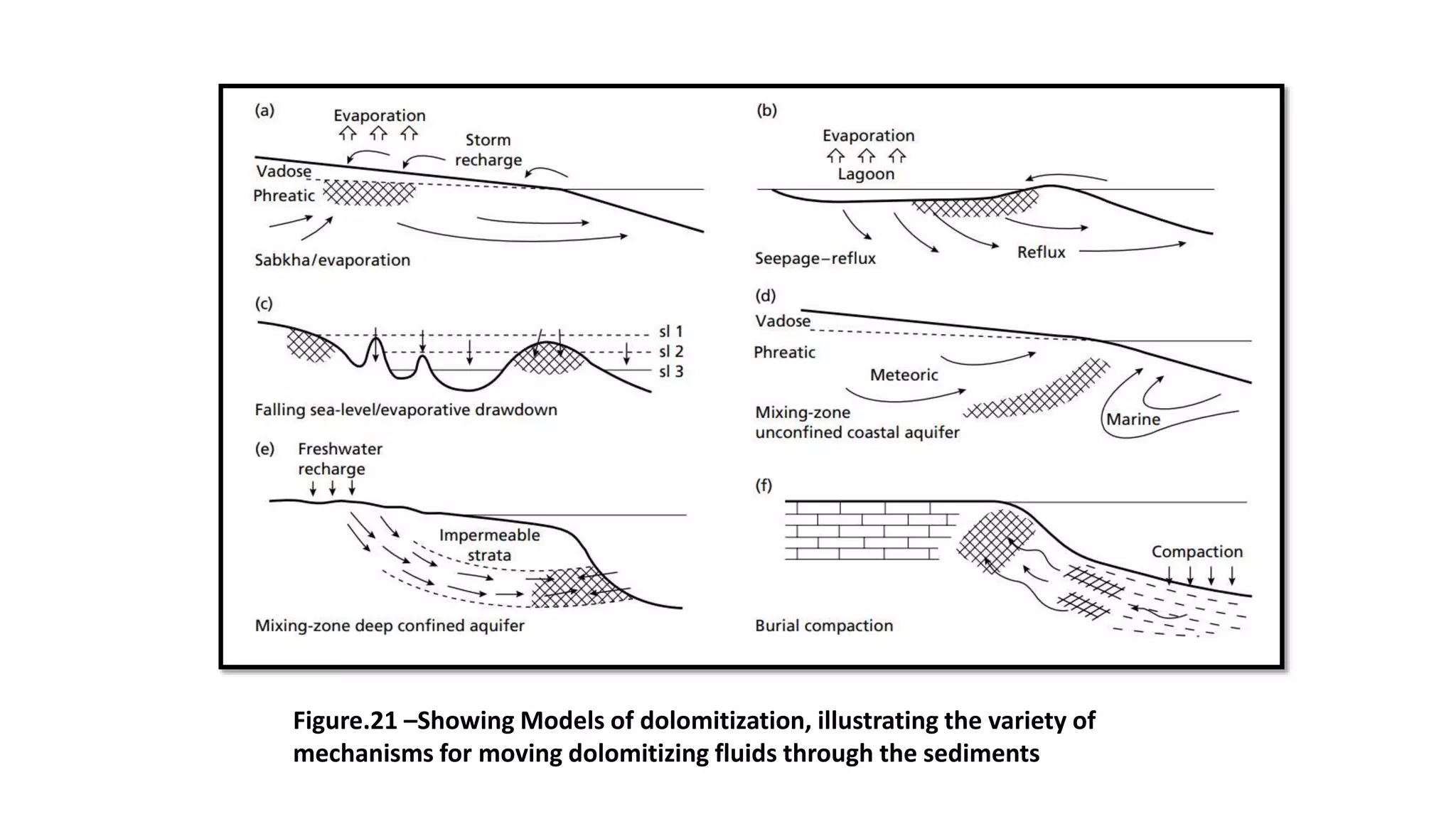 Classification-of-sedimentary-rocks-Autochthonous-sediments.pptx
