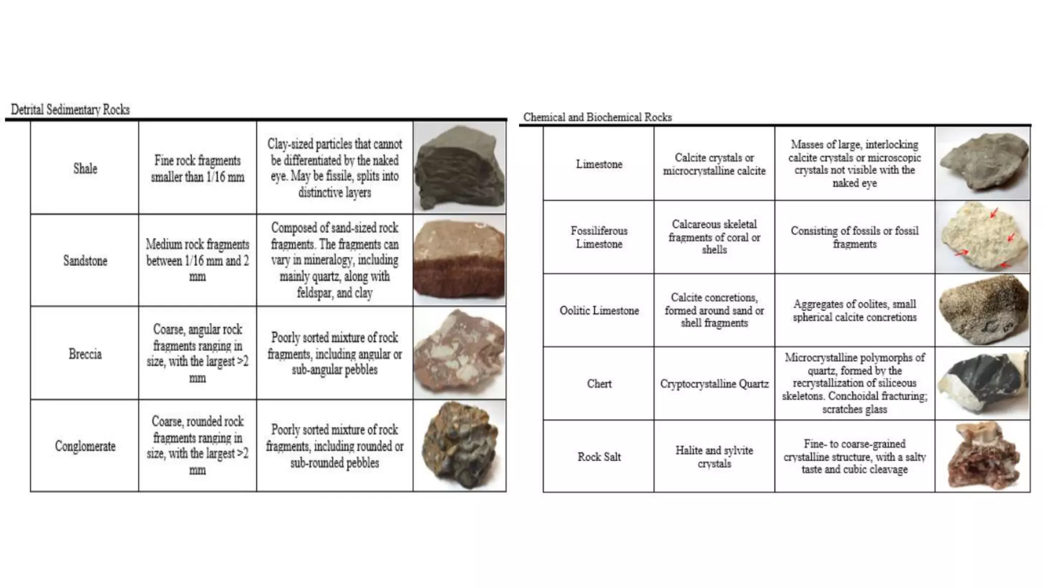 Classification-of-sedimentary-rocks-Autochthonous-sediments.pptx ...