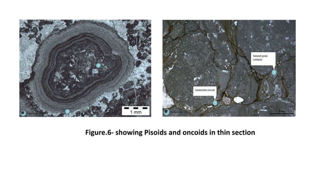 Classification-of-sedimentary-rocks-Autochthonous-sediments.pptx ...
