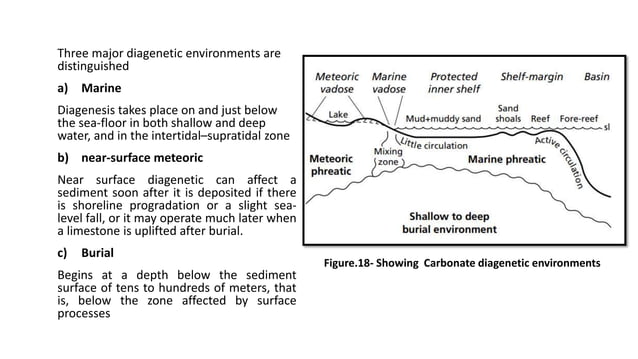 Classification-of-sedimentary-rocks-Autochthonous-sediments.pptx ...
