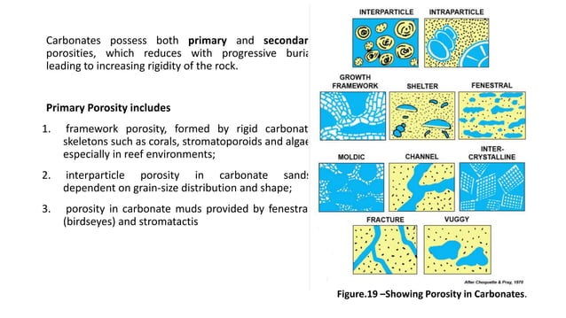 Classification-of-sedimentary-rocks-Autochthonous-sediments.pptx ...
