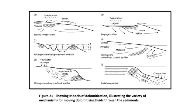 Classification-of-sedimentary-rocks-Autochthonous-sediments.pptx ...