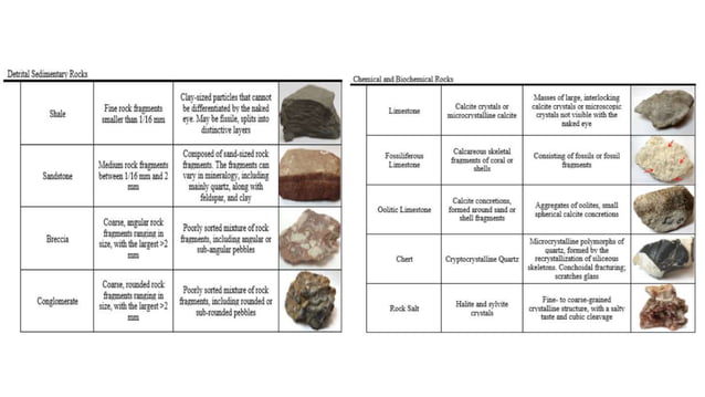 Classification-of-sedimentary-rocks-Autochthonous-sediments.pptx ...