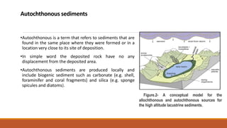 Classification-of-sedimentary-rocks-Autochthonous-sediments.pptx
