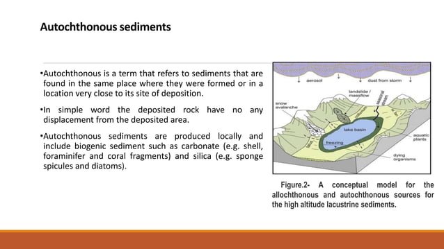 Classification-of-sedimentary-rocks-Autochthonous-sediments.pptx ...