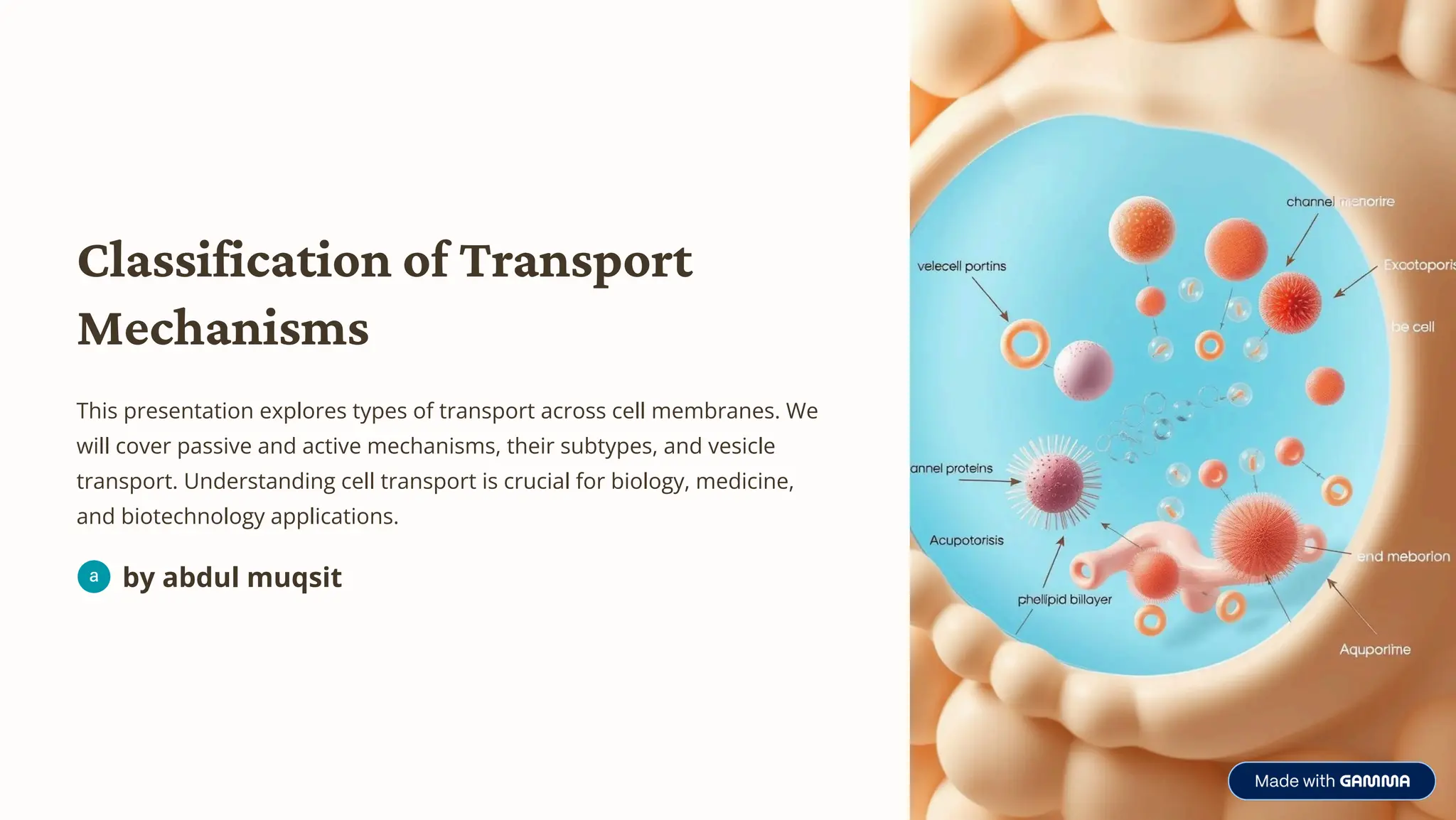 Classification-of-Transport-Mechanisms.pdf