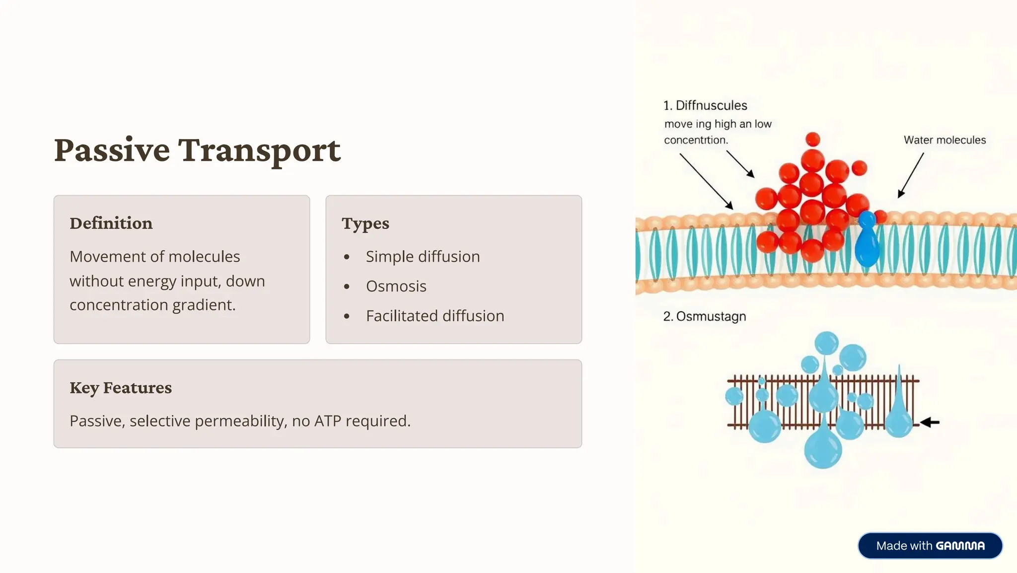 Classification-of-Transport-Mechanisms.pdf