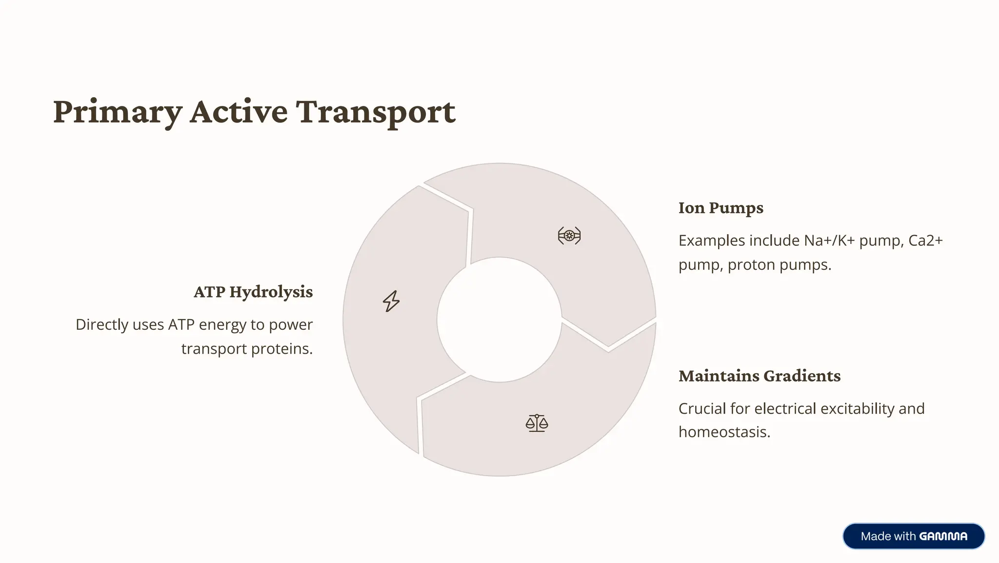 Classification-of-Transport-Mechanisms.pdf
