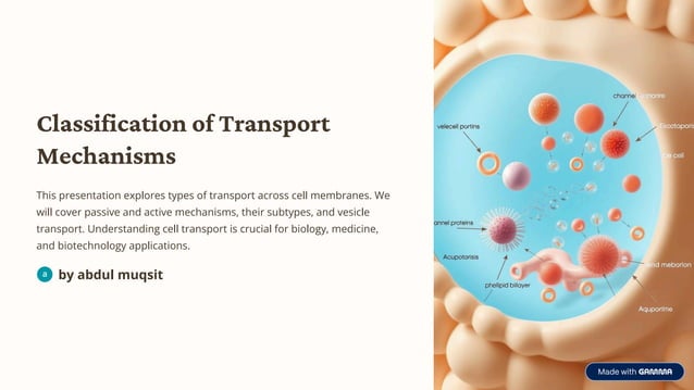 Classification-of-Transport-Mechanisms.pdf