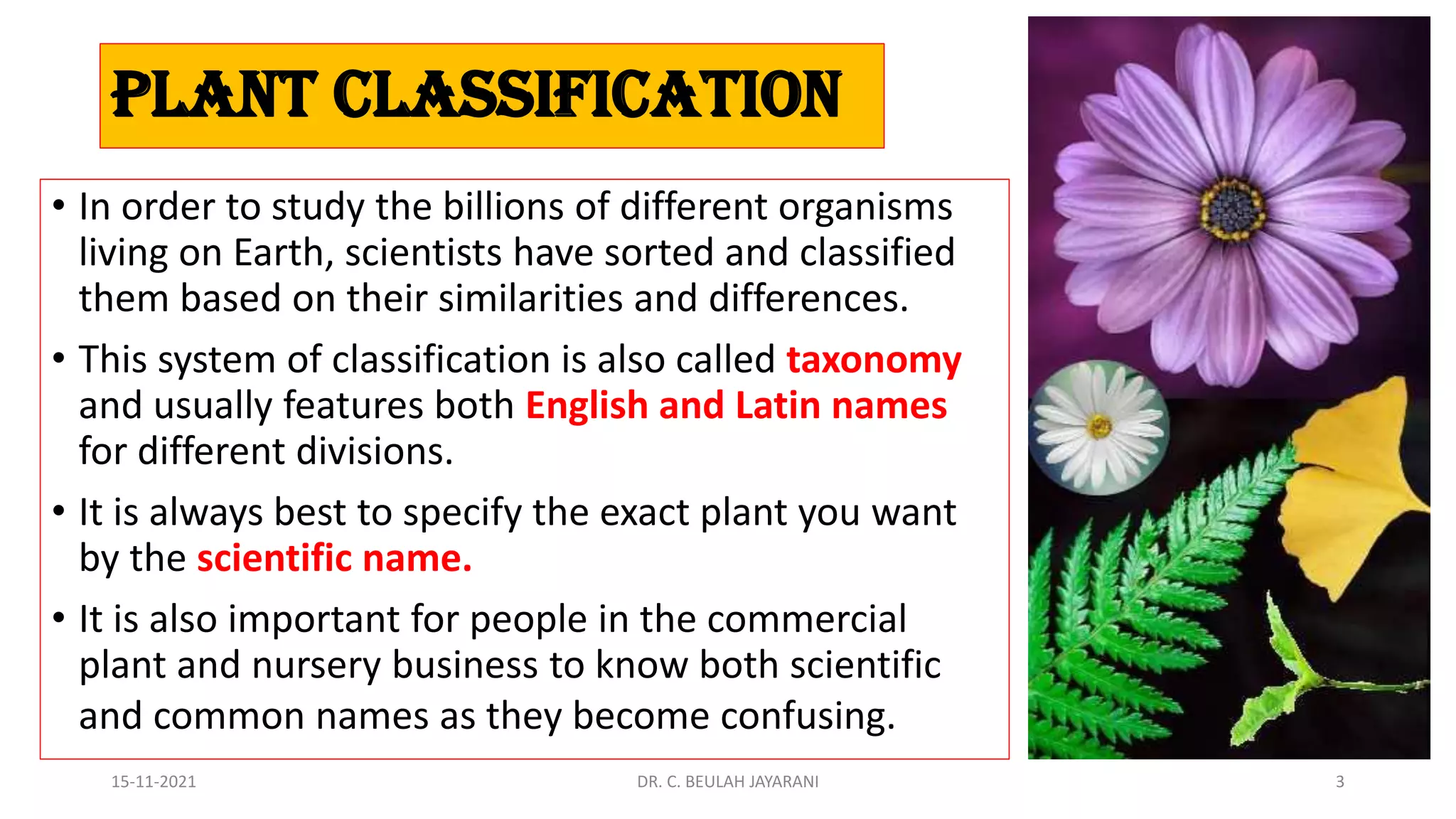 Classification plant-converted | PDF