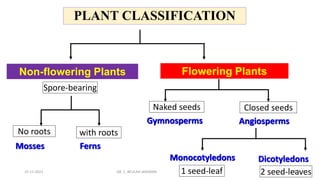 Classification plant-converted | PDF