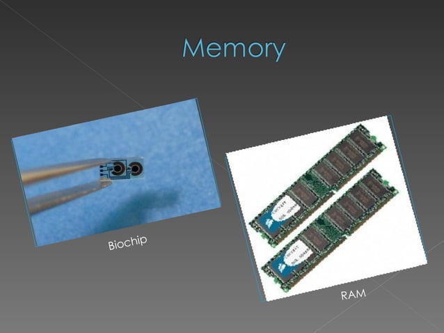 Classification Station | PPT