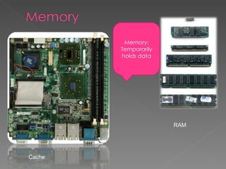 Classification Station Sarah | PPT