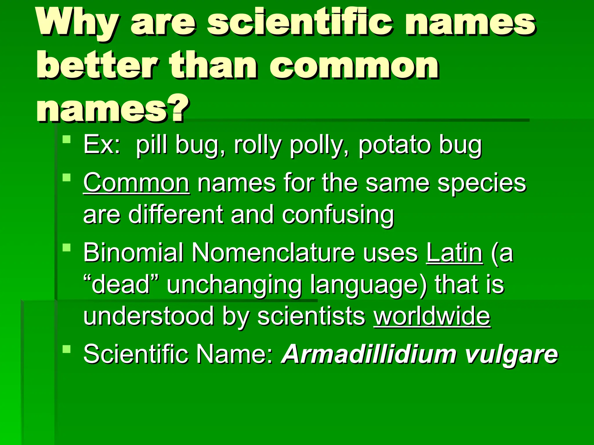 Classification-Taxonomy PowerPoint Presentation | PPT