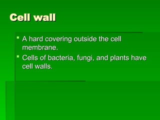 Classification-Taxonomy PowerPoint Presentation | PPT
