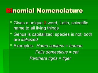 Classification-Taxonomy PowerPoint Presentation | PPT