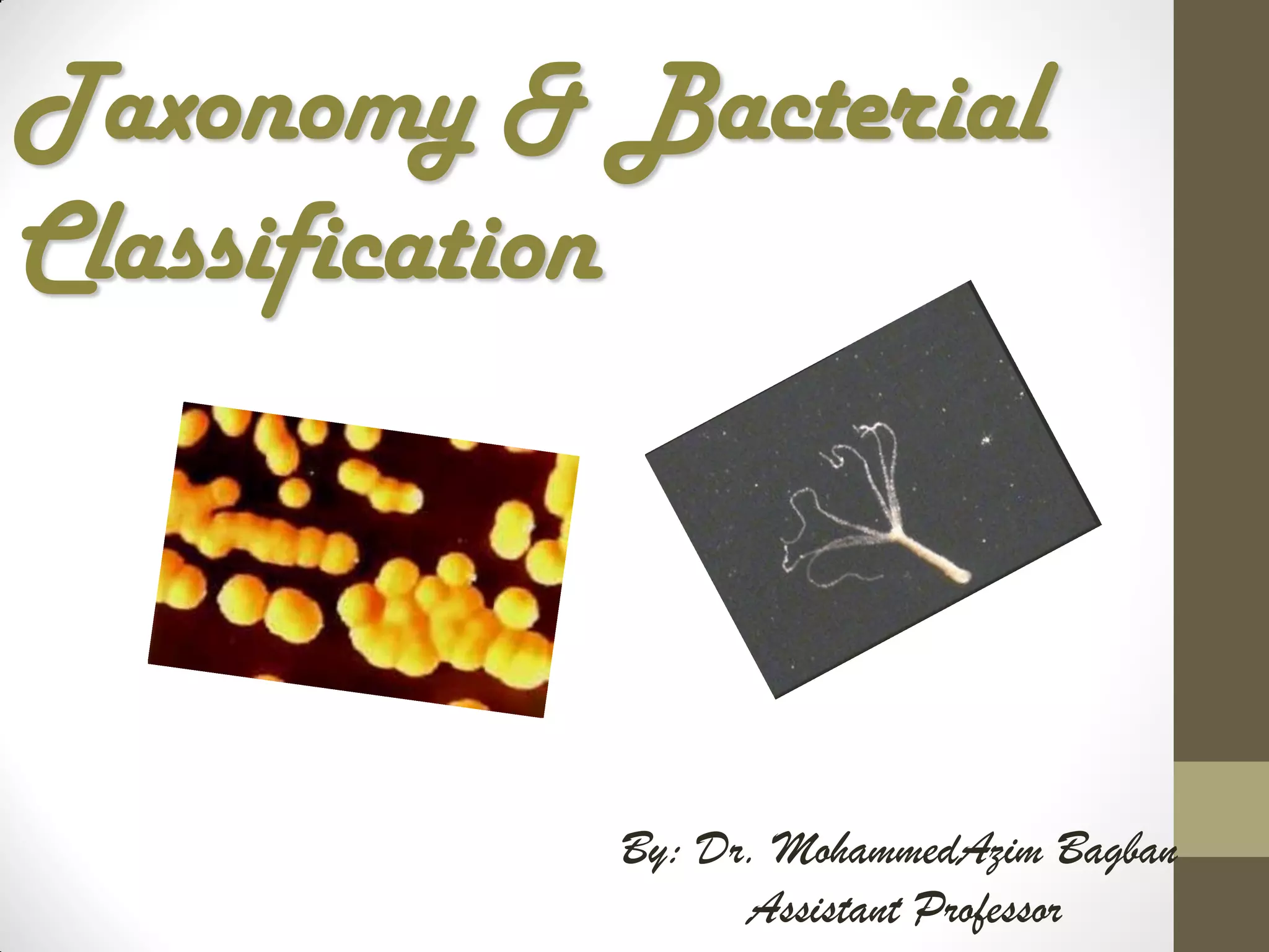 Bacterial taxonomy & classification | PDF