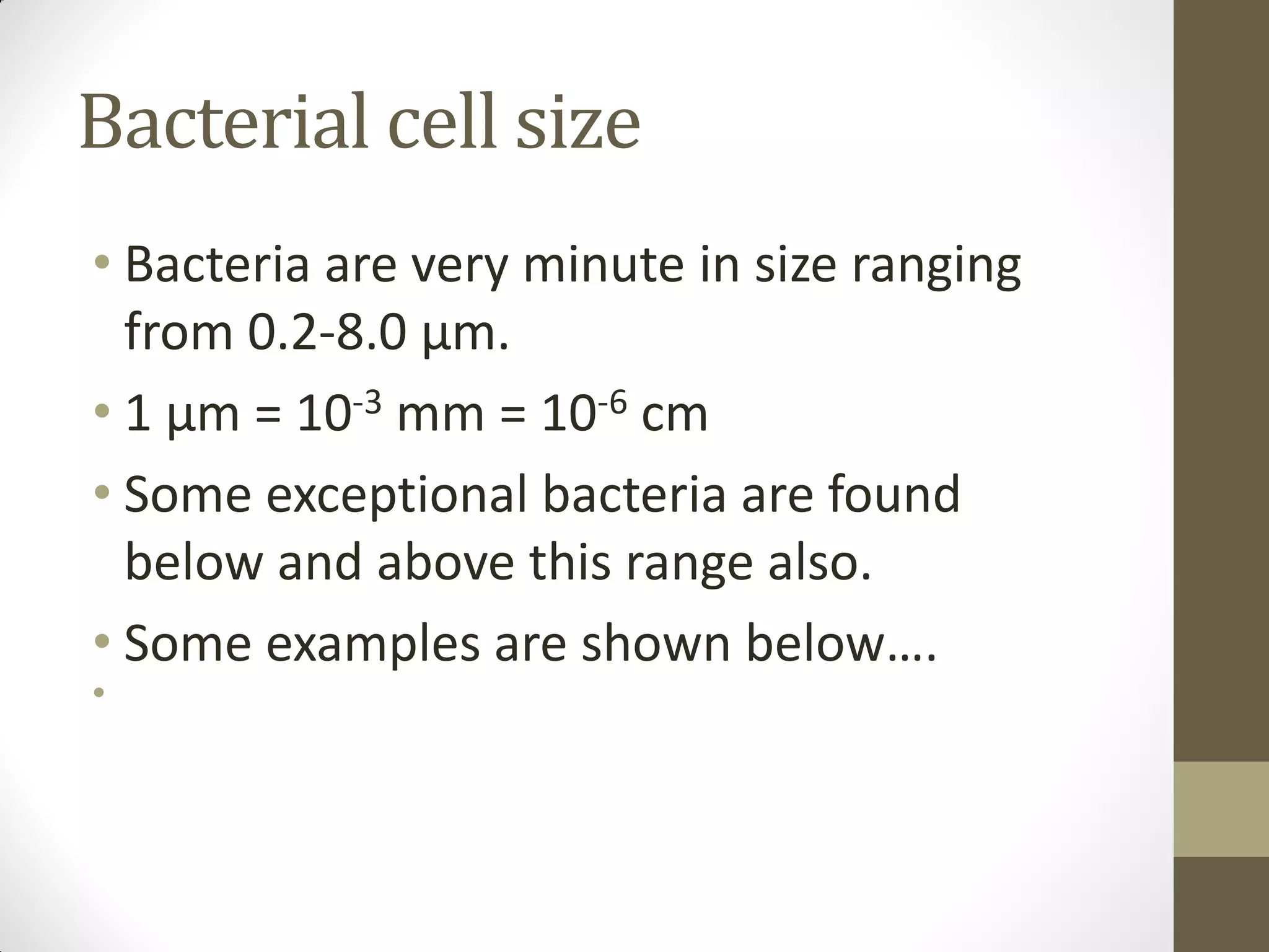 Bacterial taxonomy & classification | PDF