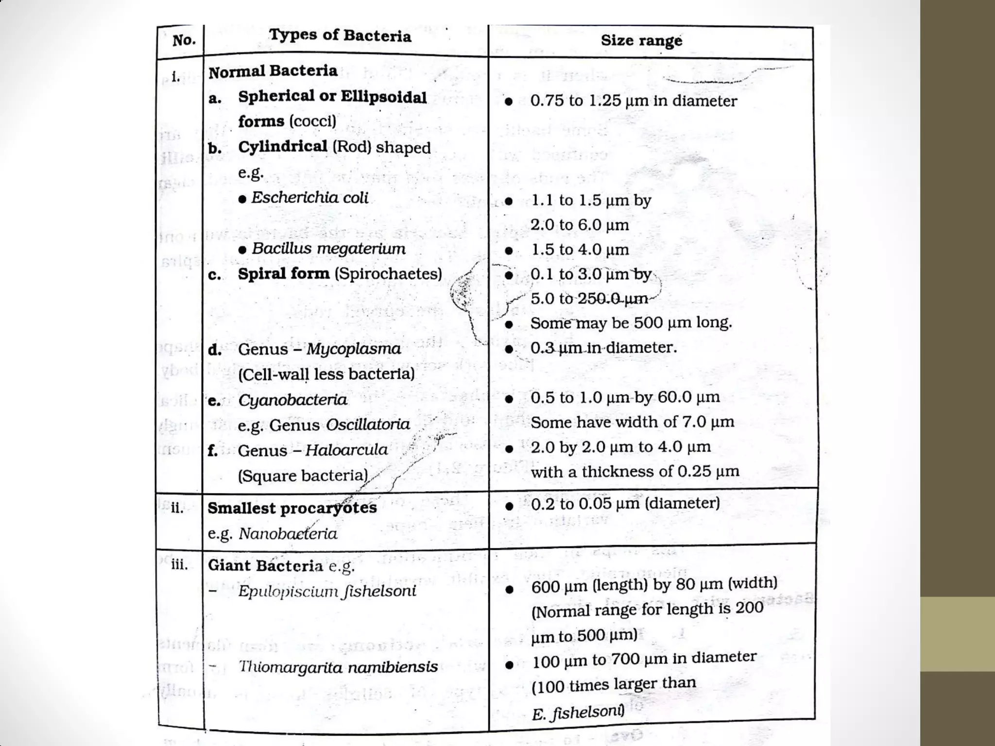 Bacterial Taxonomy Classification Pdf