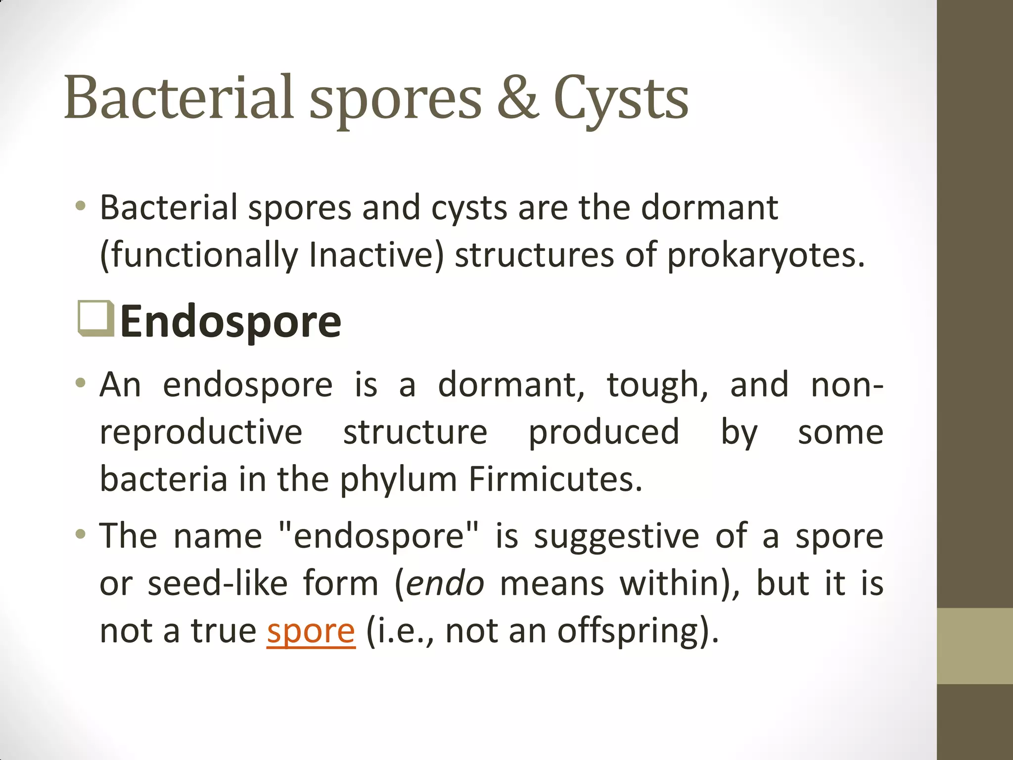 Bacterial taxonomy & classification | PDF
