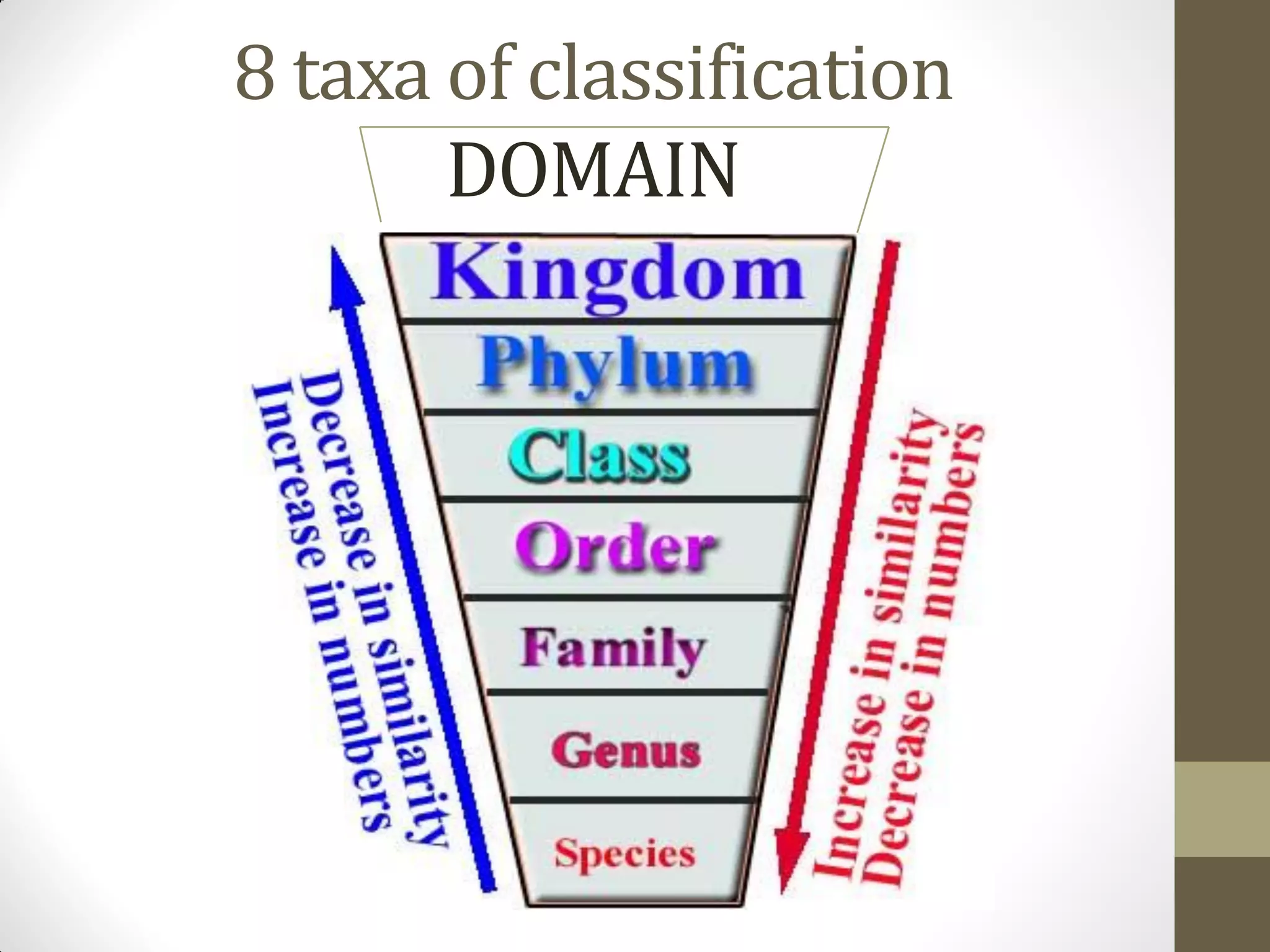 Bacterial taxonomy & classification | PDF
