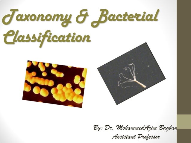 Bacterial taxonomy & classification | PDF