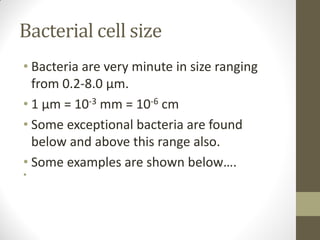 Bacterial taxonomy & classification | PDF