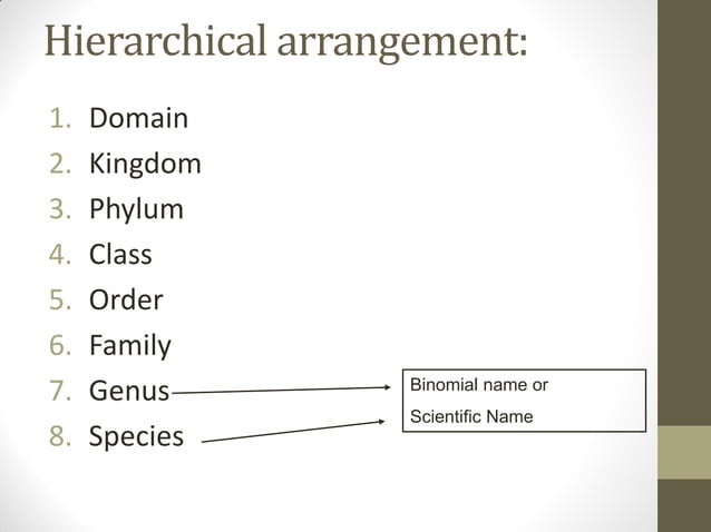 Bacterial taxonomy & classification | PDF