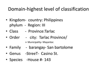 Classification- the process of grouping and putting things.pptx