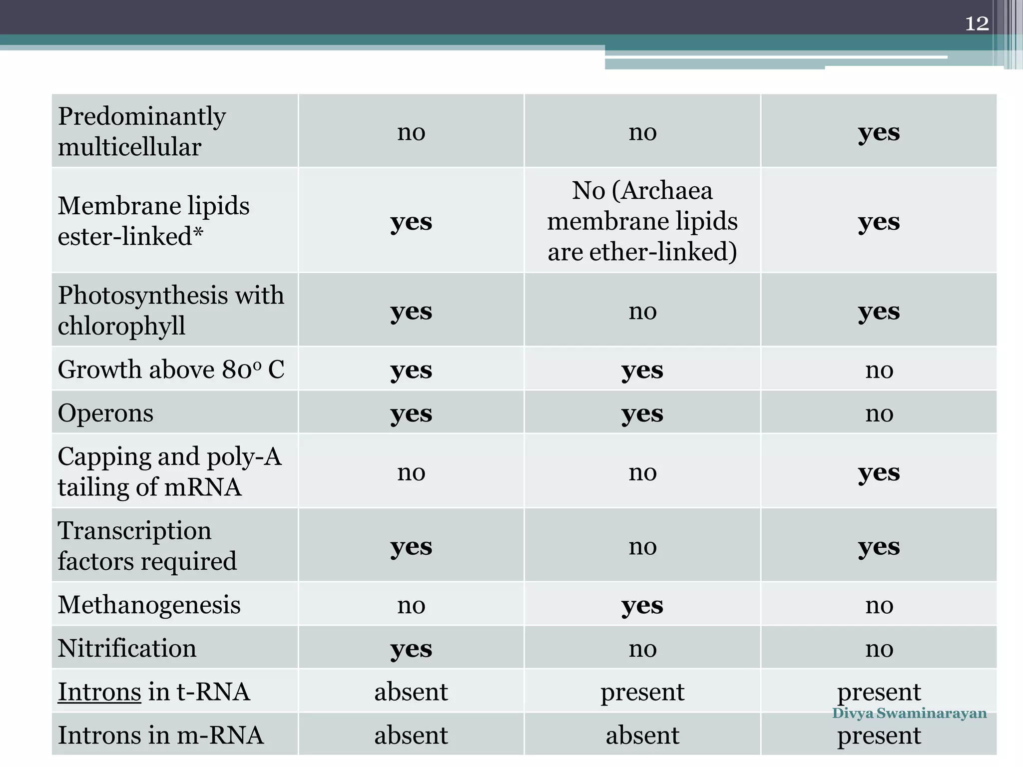 Classification three domain system | PDF
