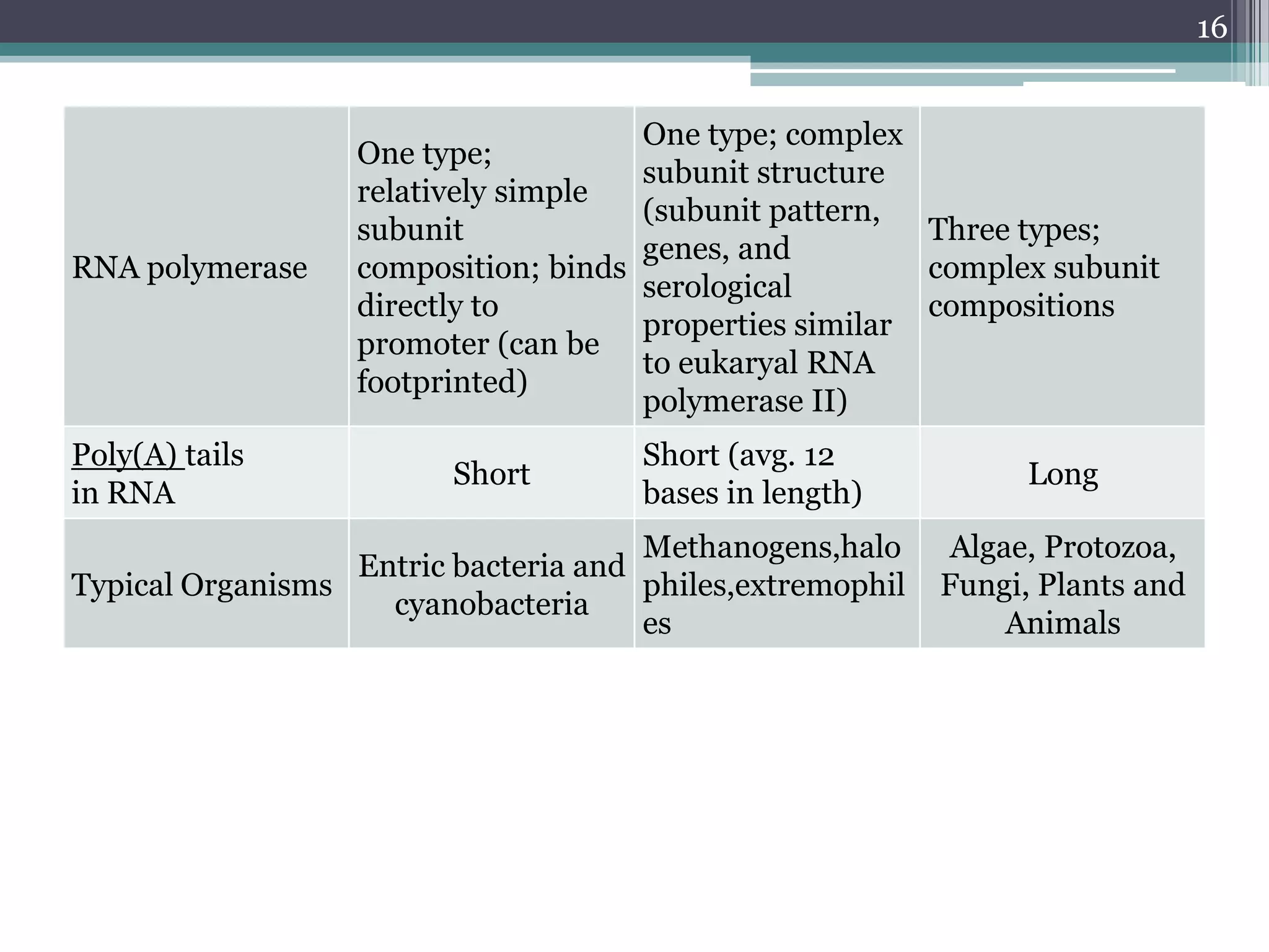 Classification three domain system | PDF