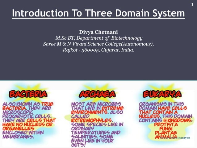 Classification three domain system | PDF