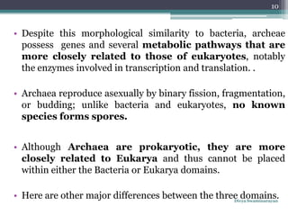 Classification three domain system | PDF