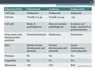 Classification three domain system | PDF