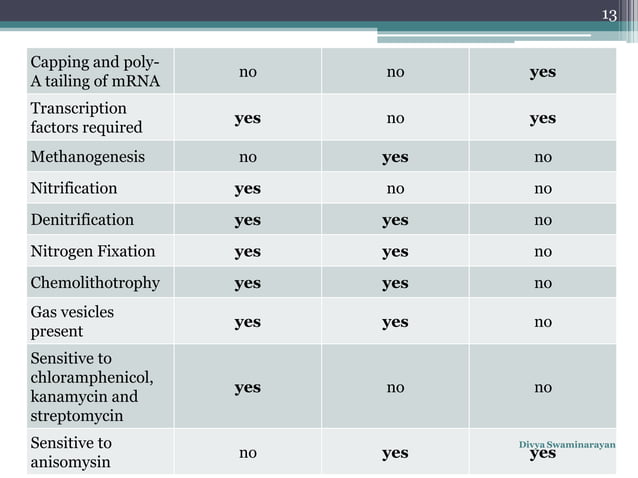 Classification three domain system | PDF