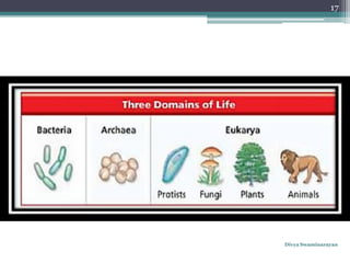 Classification three domain system | PDF