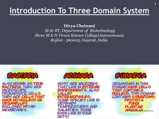 Three Domain Classification