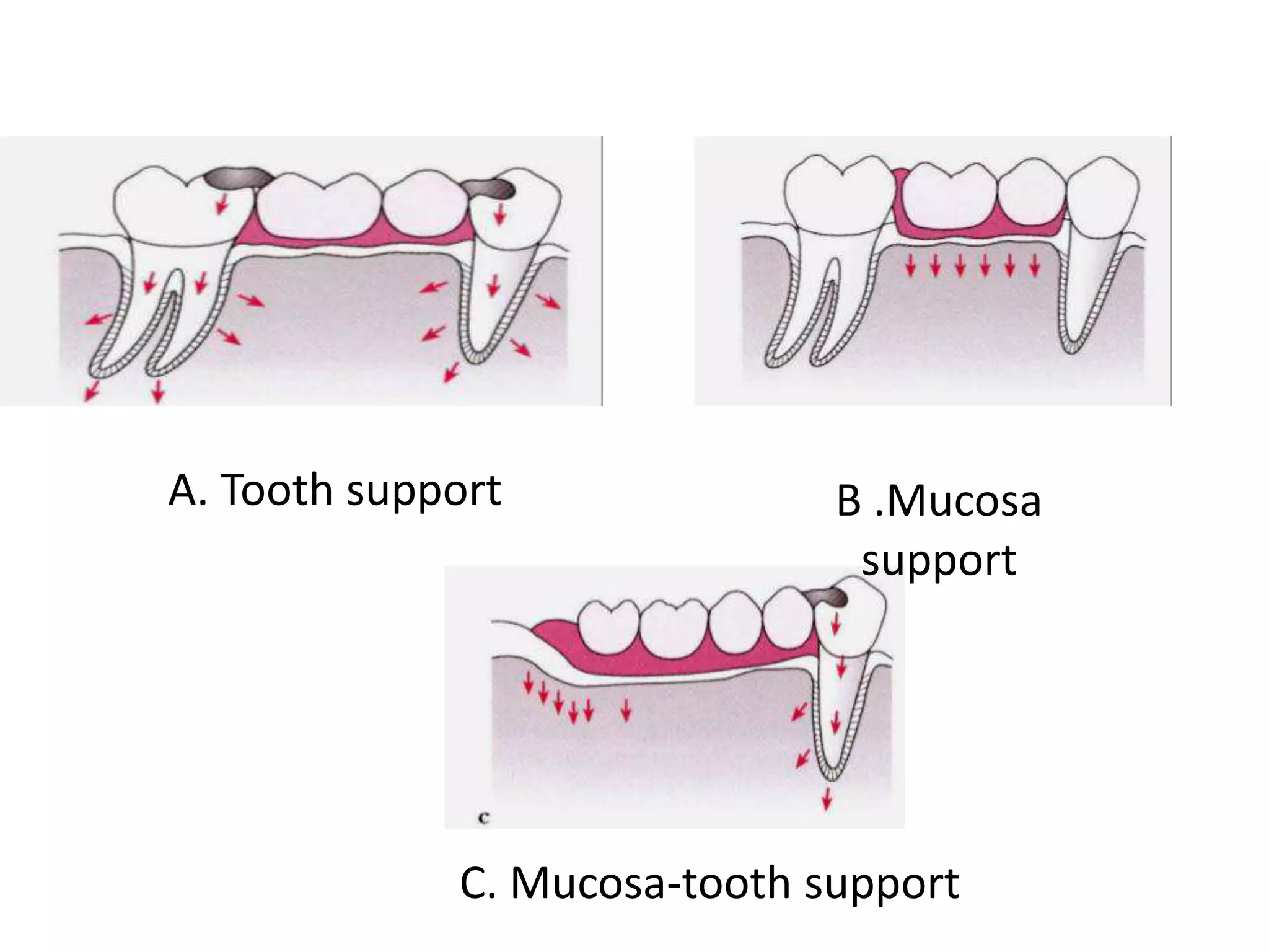 classification (1).pptx