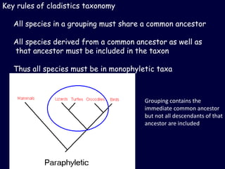 Classification (1).ppt