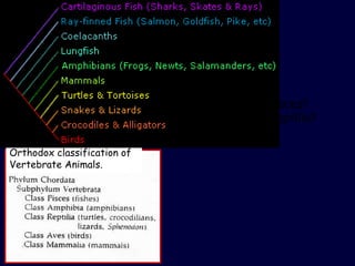 Classification (1).ppt | Biological Sciences | Science