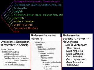Classification (1).ppt | Biological Sciences | Science